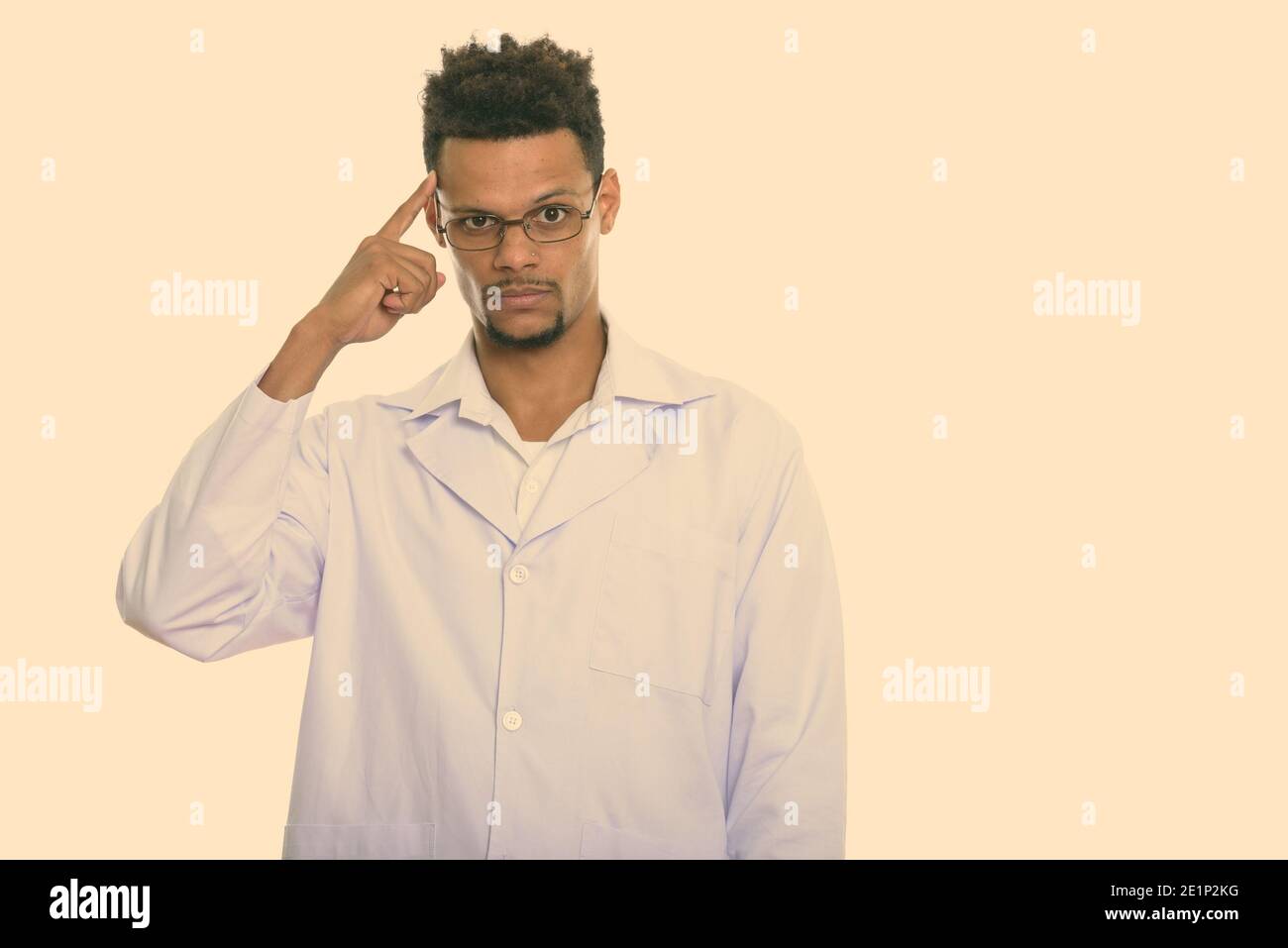 Black lab head shot hi-res stock photography and images - Alamy