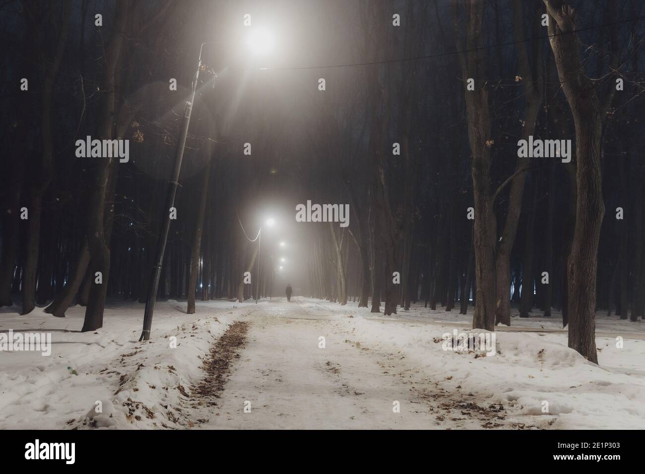 Night snow fall park road hi-res stock photography and images - Alamy