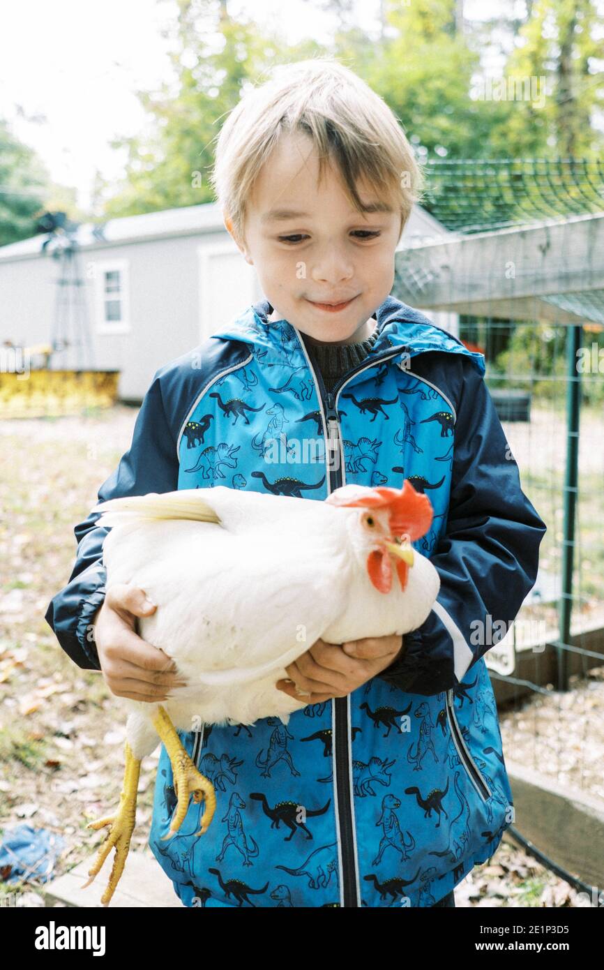 Boy with a chicken hi-res stock photography and images - Alamy