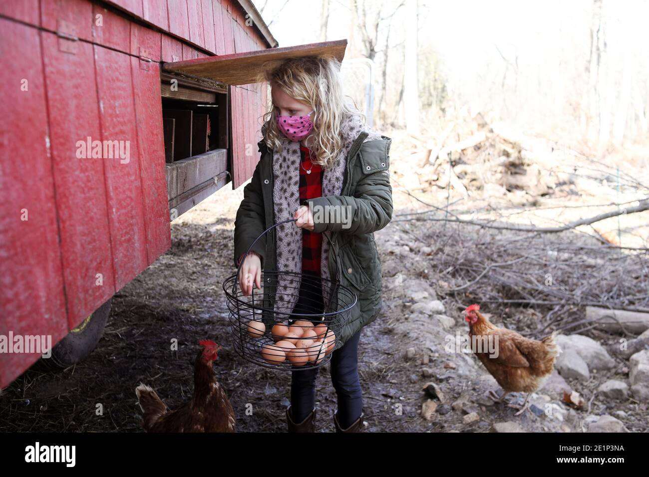 Children and collecting eggs hi-res stock photography and images - Alamy