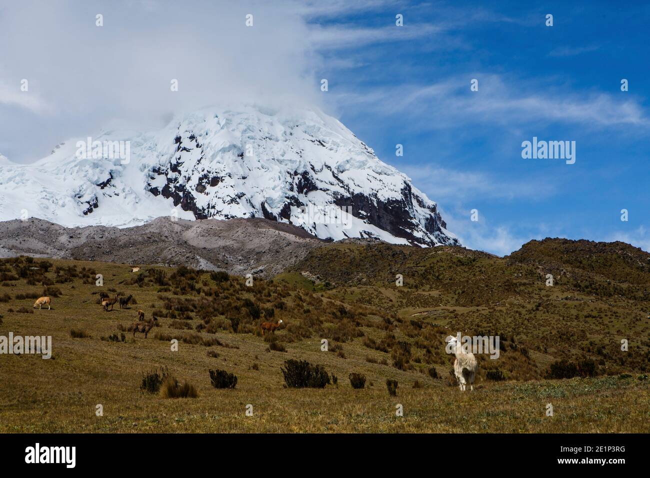 Landscape scenes on the approach to Antisana, a popular volcano Stock ...