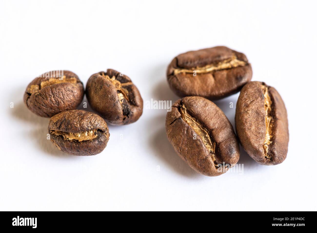 Comparison of Moka 100% Arabica coffee beans with normal beans on white background Stock Photo ...
