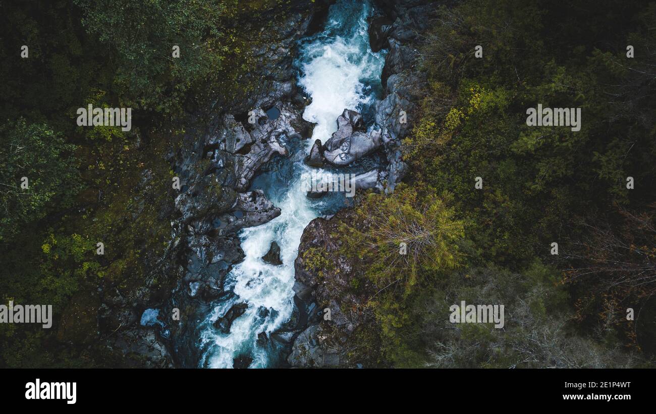 Wet lush beautiful fine art hi-res stock photography and images - Alamy