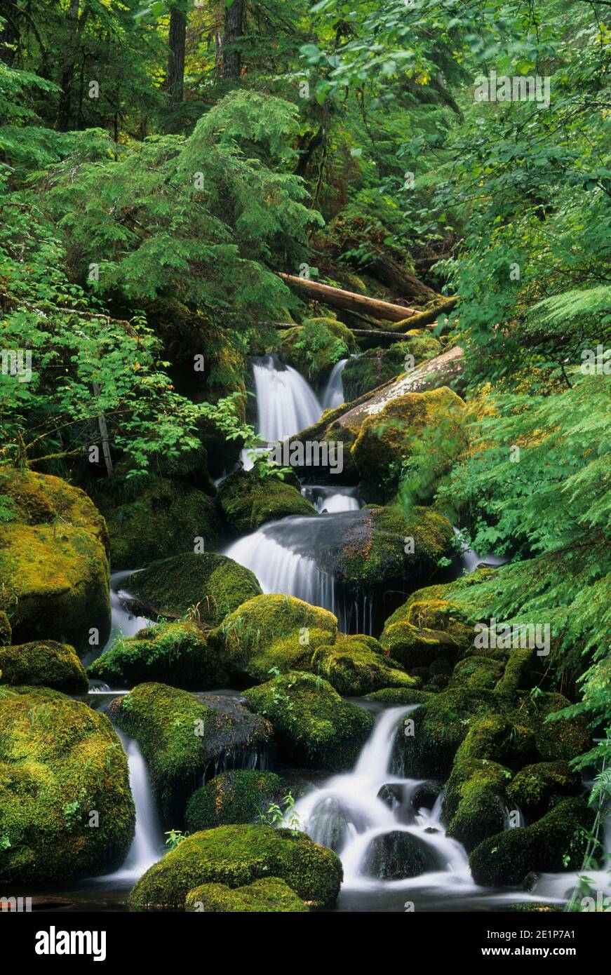 Watson Creek on Watson Falls Trail, Rogue-Umpqua National Scenic Byway ...
