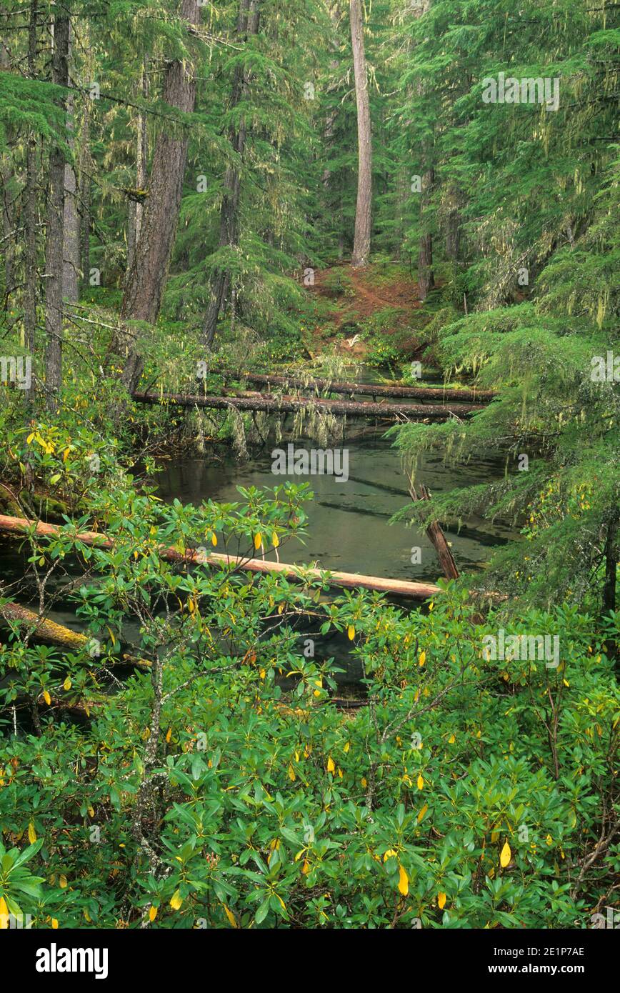 Rogue umpqua national scenic byway hi-res stock photography and images ...