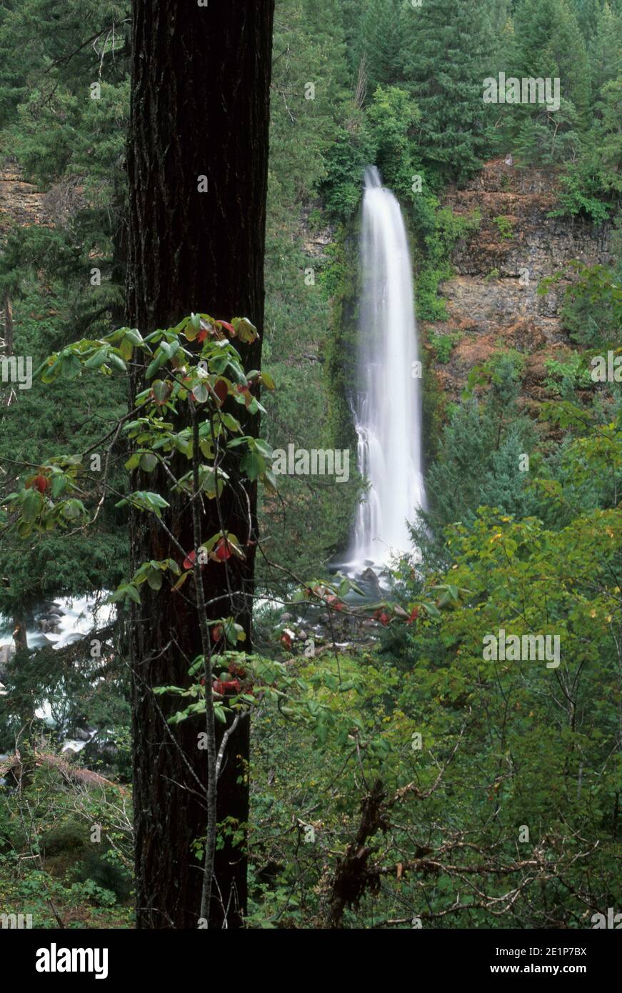 Mill Creek Falls, Rogue-Umpqua National Scenic Byway, Prospect State ...