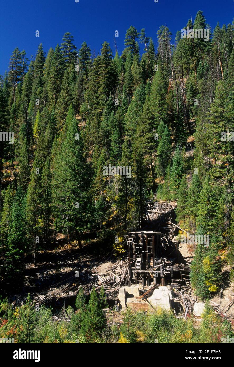 Cougar independence mine hi-res stock photography and images - Alamy