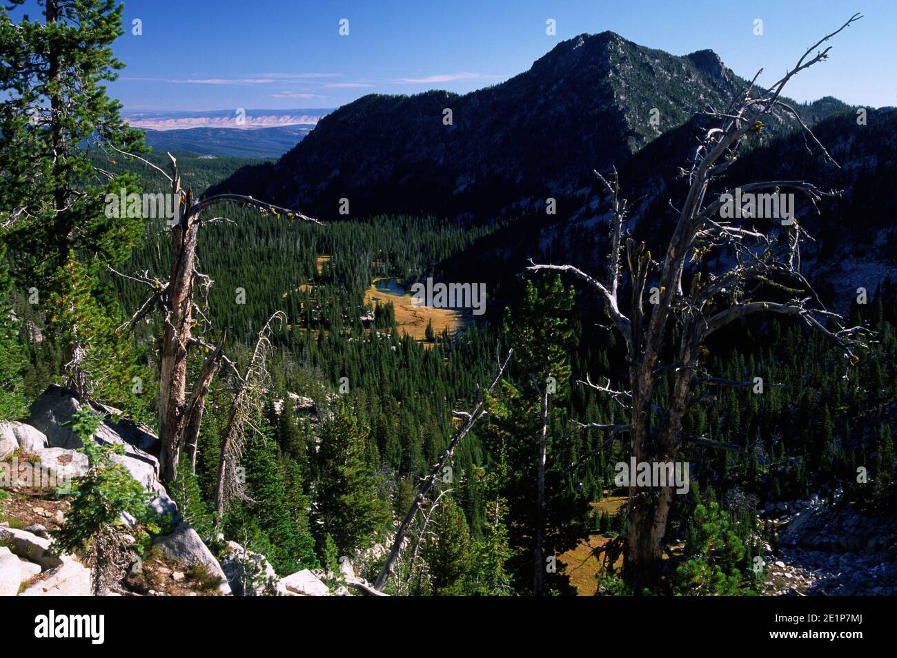 Antone Creek drainage from Elkhorn Crest Trail, Wallowa-Whitman ...