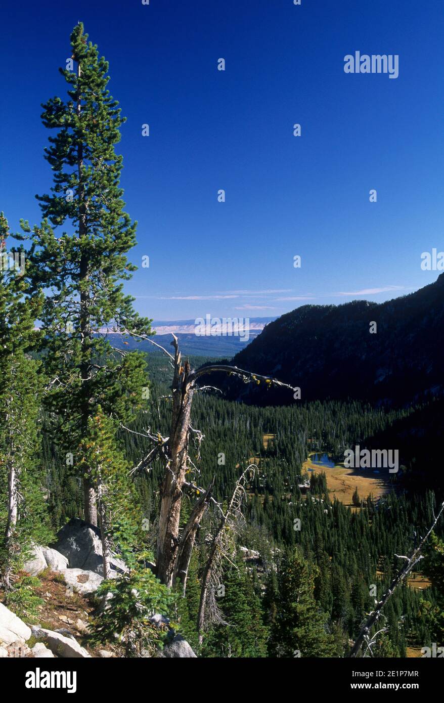 Antone Creek drainage from Elkhorn Crest Trail, Wallowa-Whitman ...