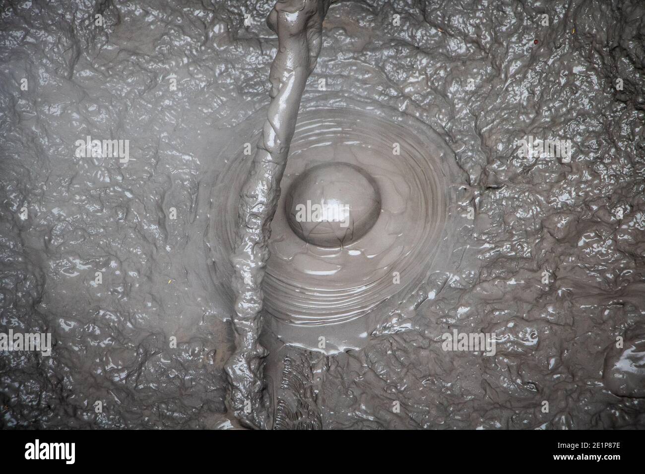 Bubbling hot mud pool in Rotorua, North Island of New Zealand Stock ...