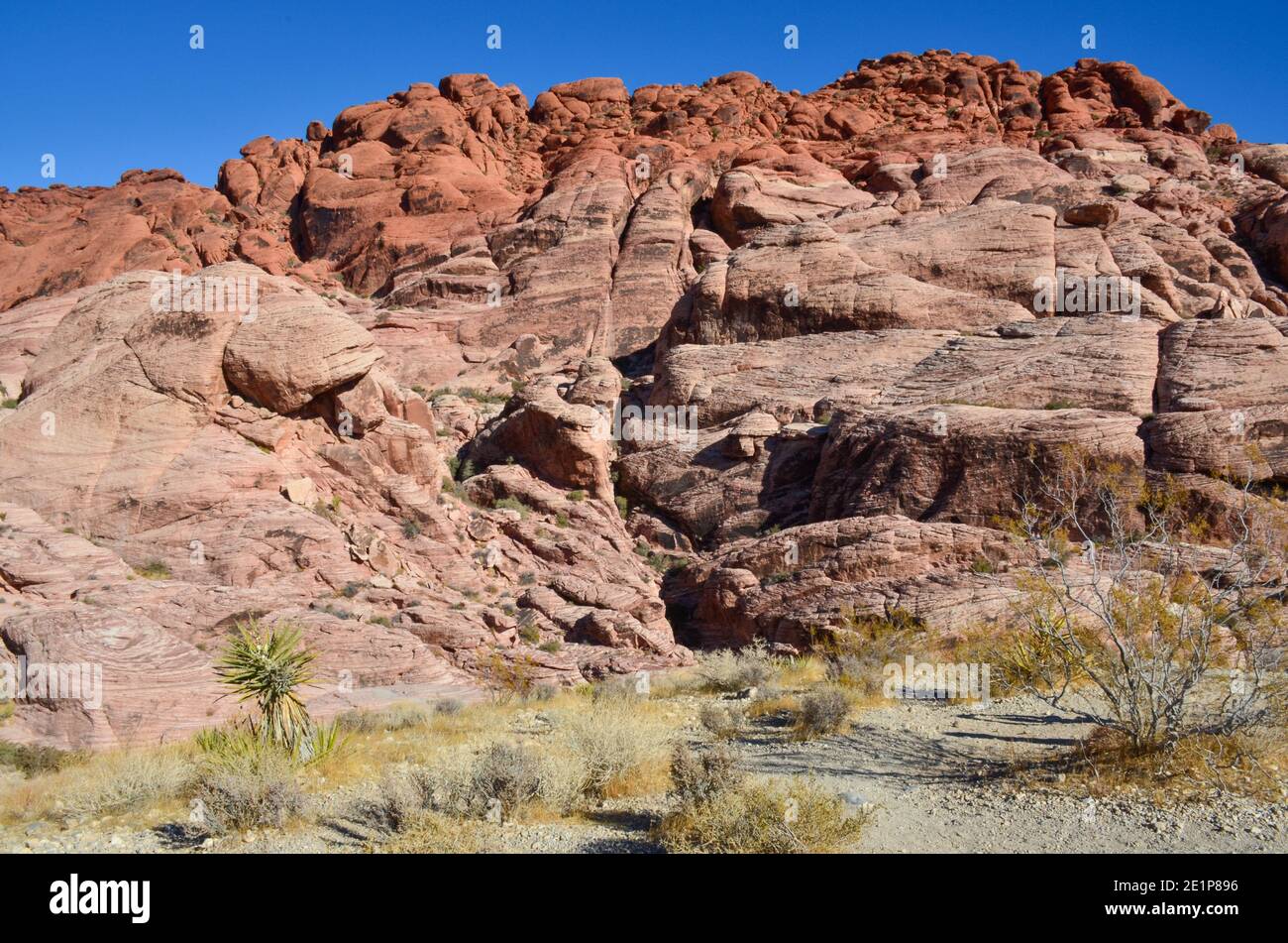 Red Rock Canyon National Conservation Area, Las Vegas, Nevada, USA ...