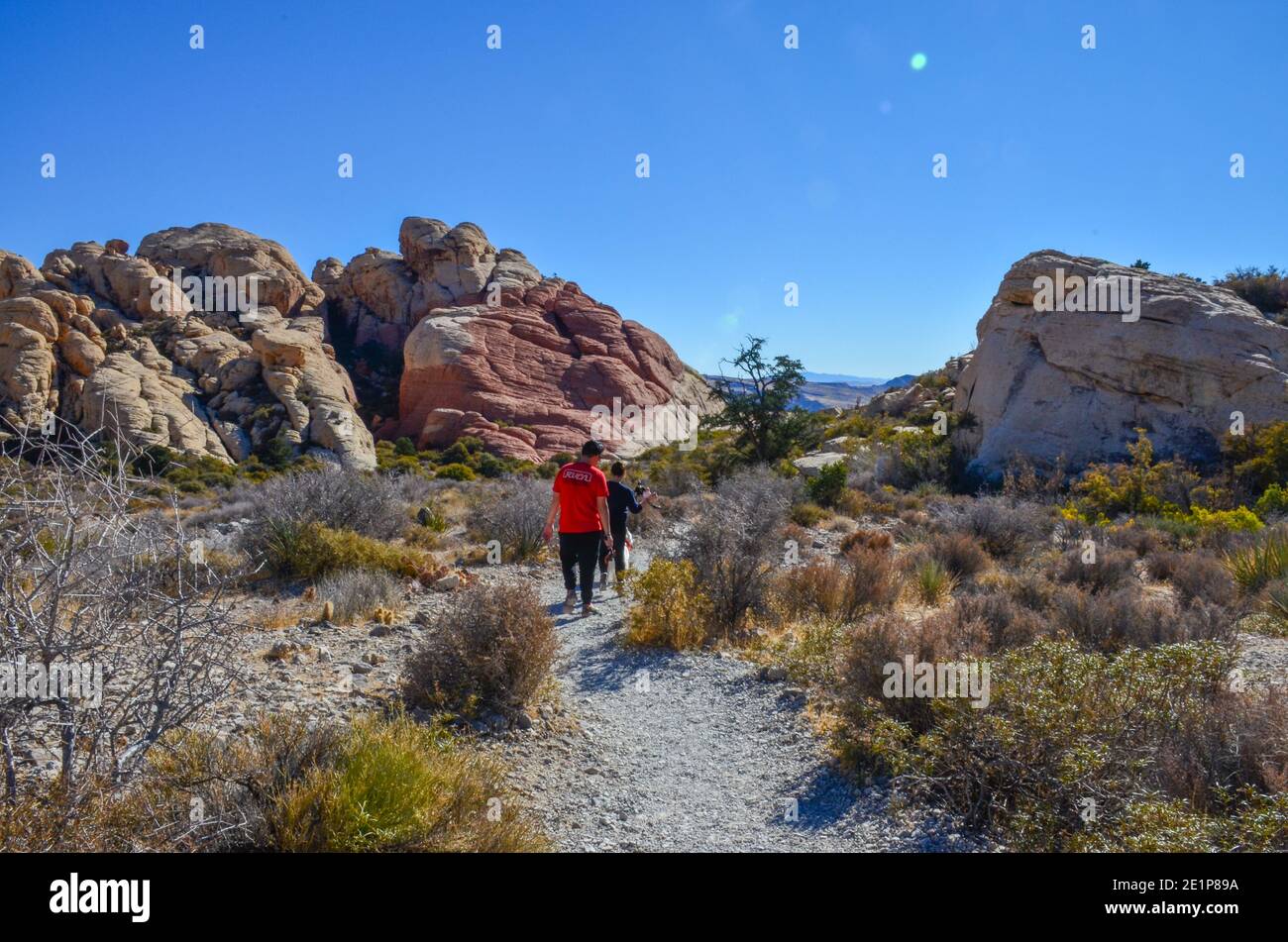 Red Rock Canyon National Conservation Area, Las Vegas, Nevada, USA ...