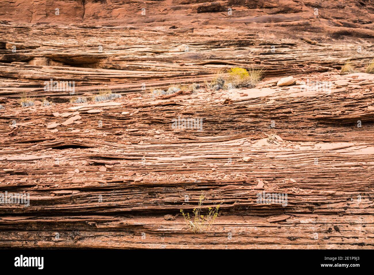 Layers and layers of sandstone. Canyonlands national Park, The Needles ...
