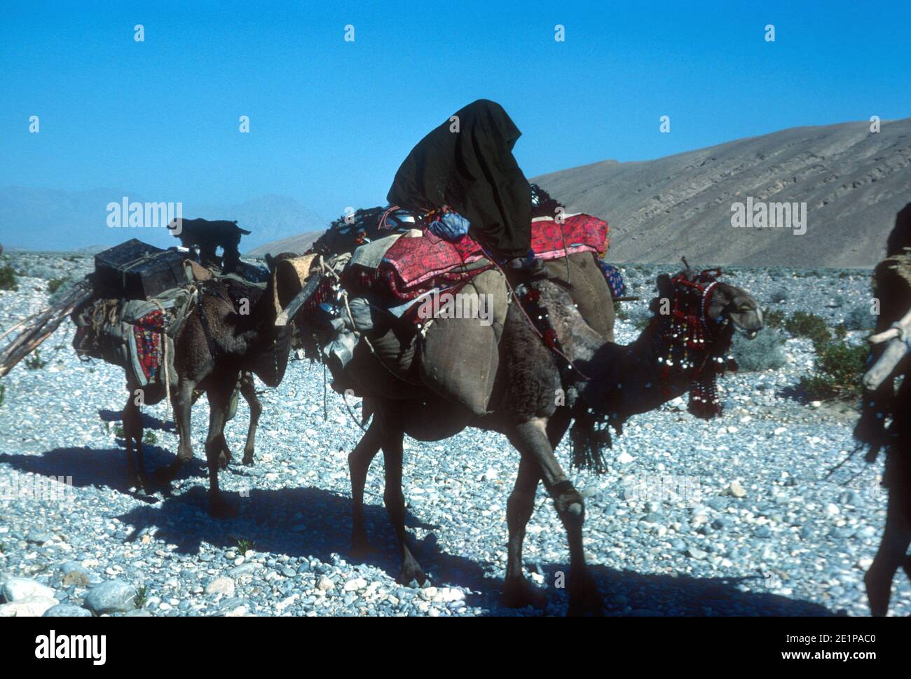 Woman riding goat hi-res stock photography and images - Alamy