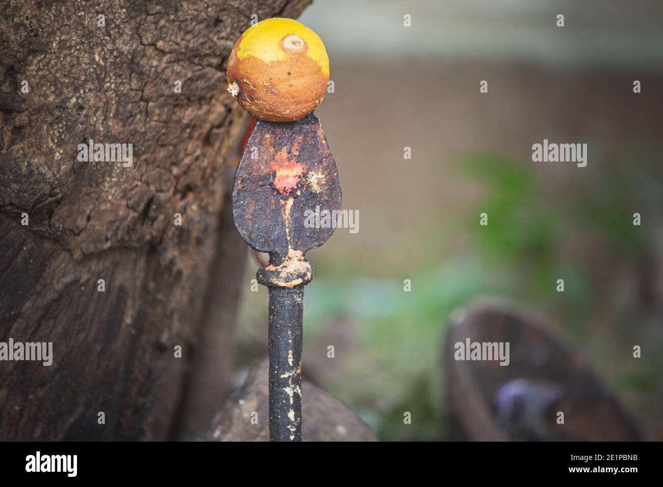 View of vel(weapon of hindu god muruga) which is sacred and worshipped ...