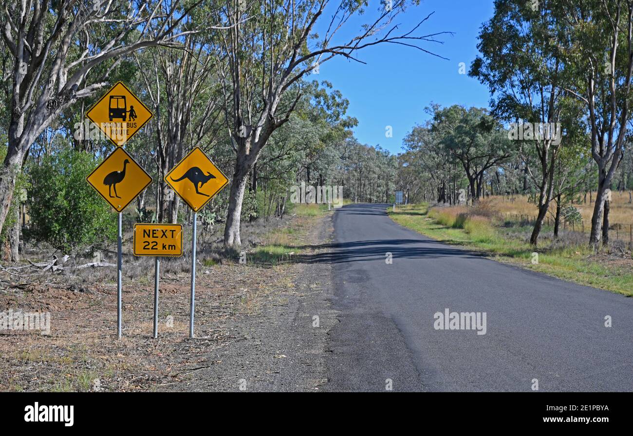 Iconic Australian road signs with emu and kangaroo warnings next to ...