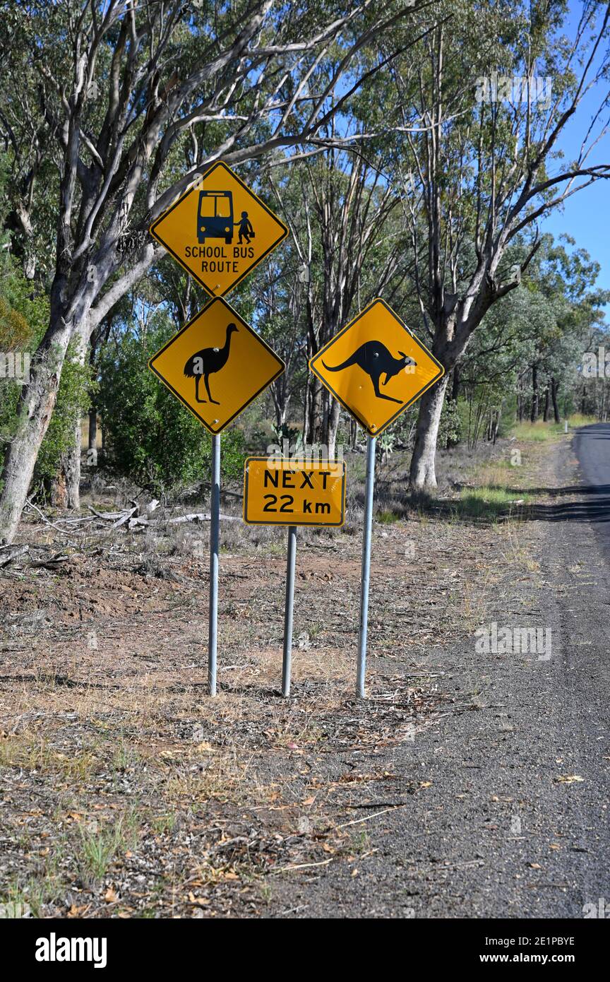 Iconic Australian road signs with emu and kangaroo warnings next to ...