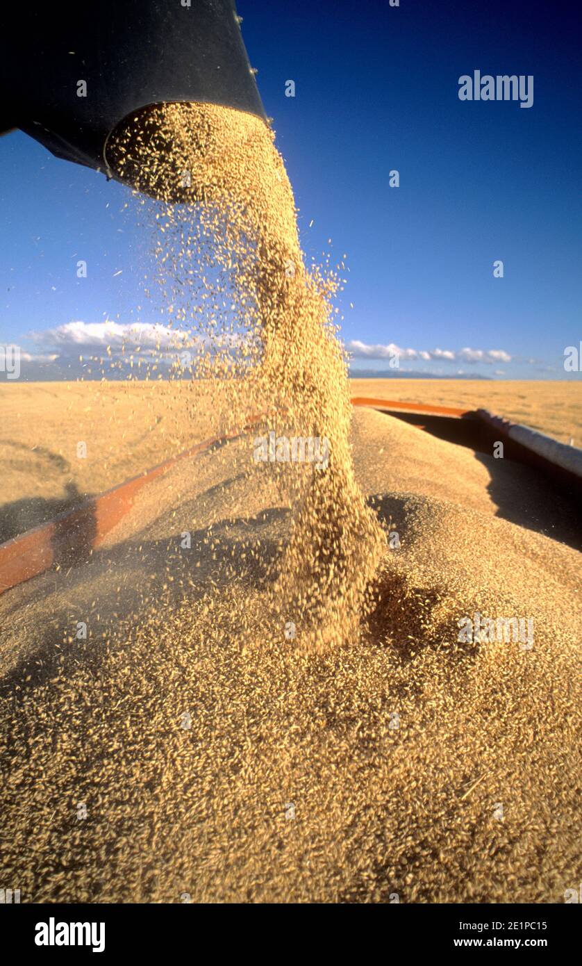 Winnowing machine hi-res stock photography and images - Alamy