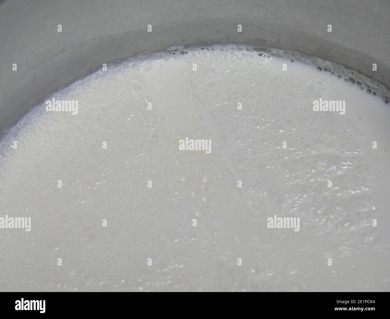 White cow's milk is boiling in the pot, Making pasteurized milk Stock ...