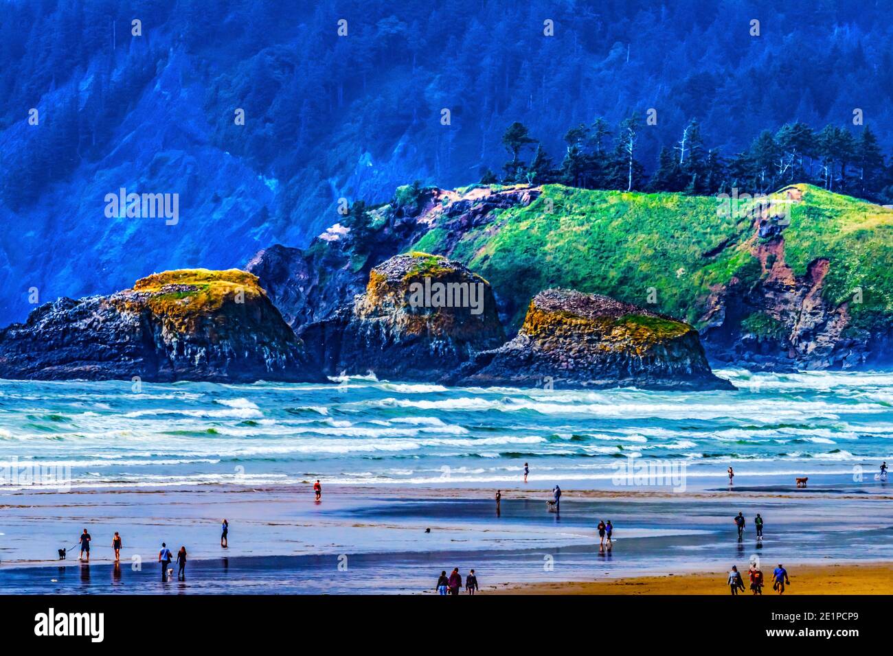 Colorful Beach Tourists Cliffs Trees Evergreens Canon Beach Clatsap ...