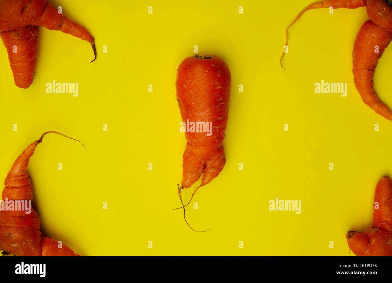 Carrot root vegetables isolated against the yellow color background ...