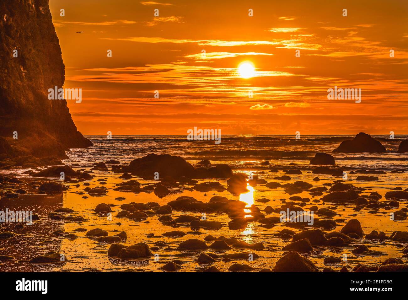 Colorful Sunset Low Tide Pool Marine Garden Haystack Rock Canon Beach ...