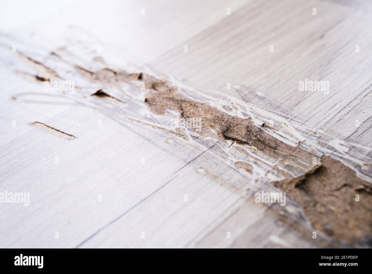Destroyed Laminate Floor. Broken Old House Flooring With Damage Stock ...