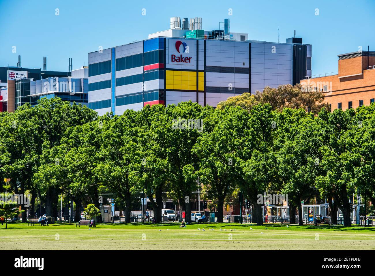 Baker heart and diabetes institute hi-res stock photography and images ...