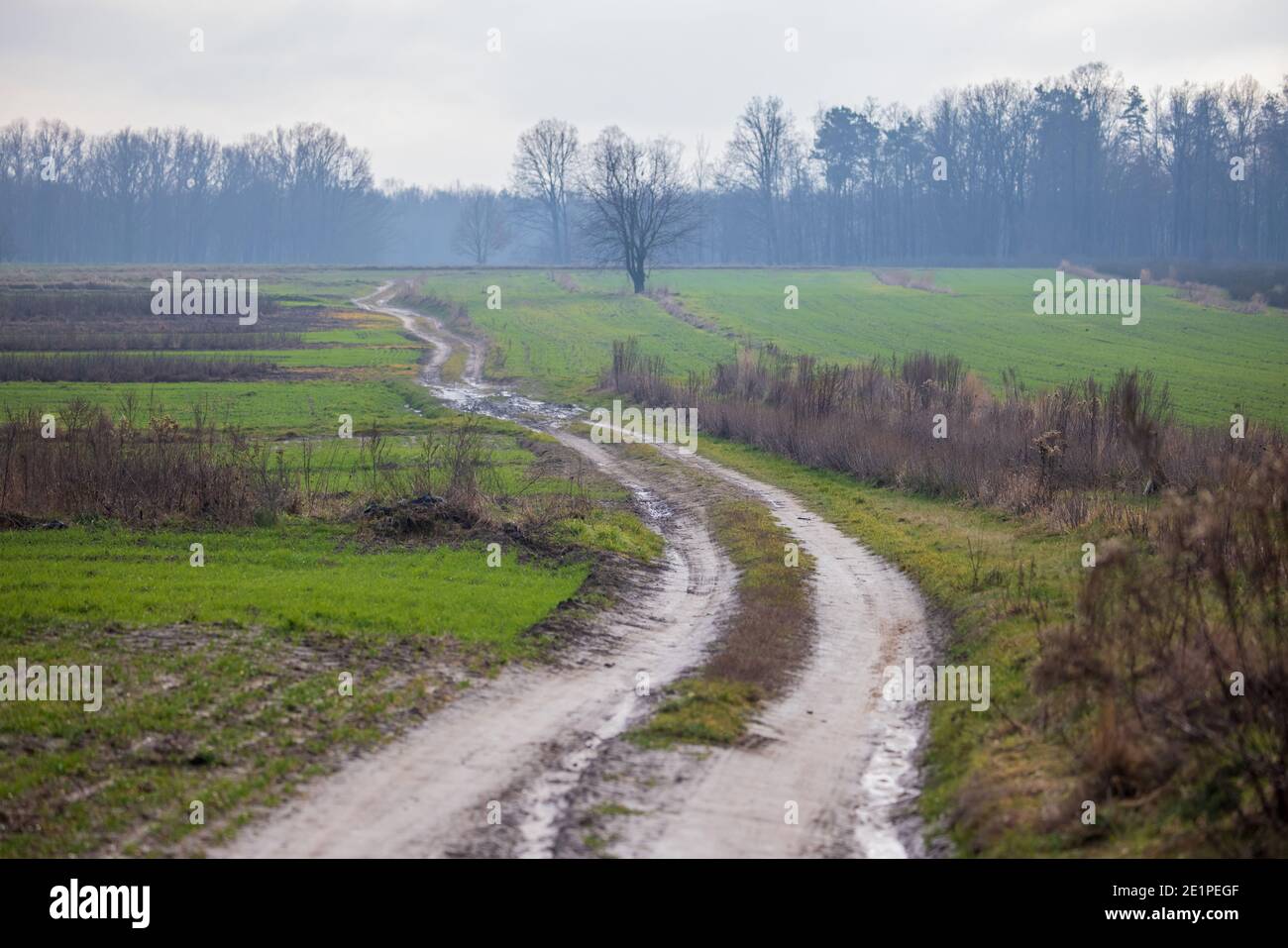 Green fields with snow hi-res stock photography and images - Alamy