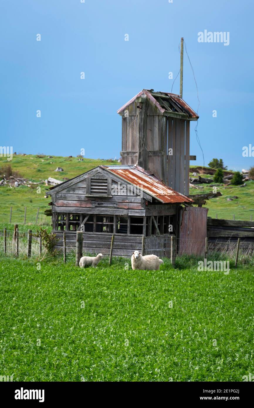 "Old Killing Shed", slaughter house, Porangahau, Hawkes Bay, North ...