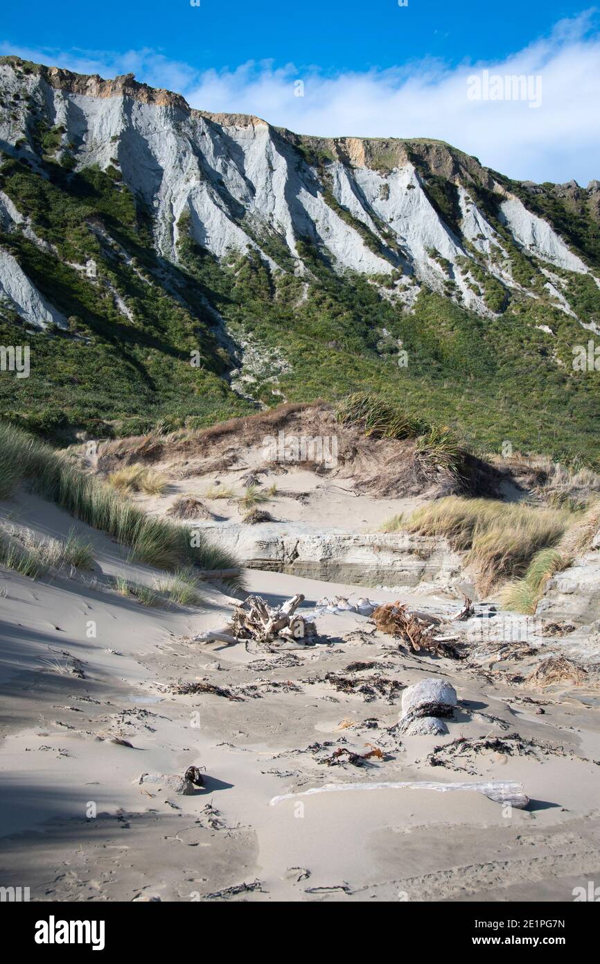 Cape Turnagain, Herbertville, Tararua Distirct, North Island, New ...