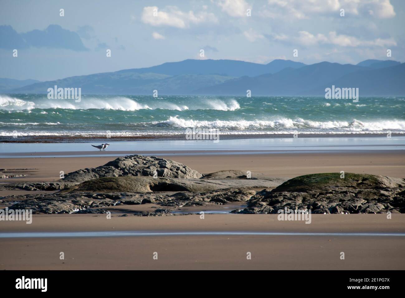 Wind blown waves at sandy beach with rocks, Herbertville, Tararua ...