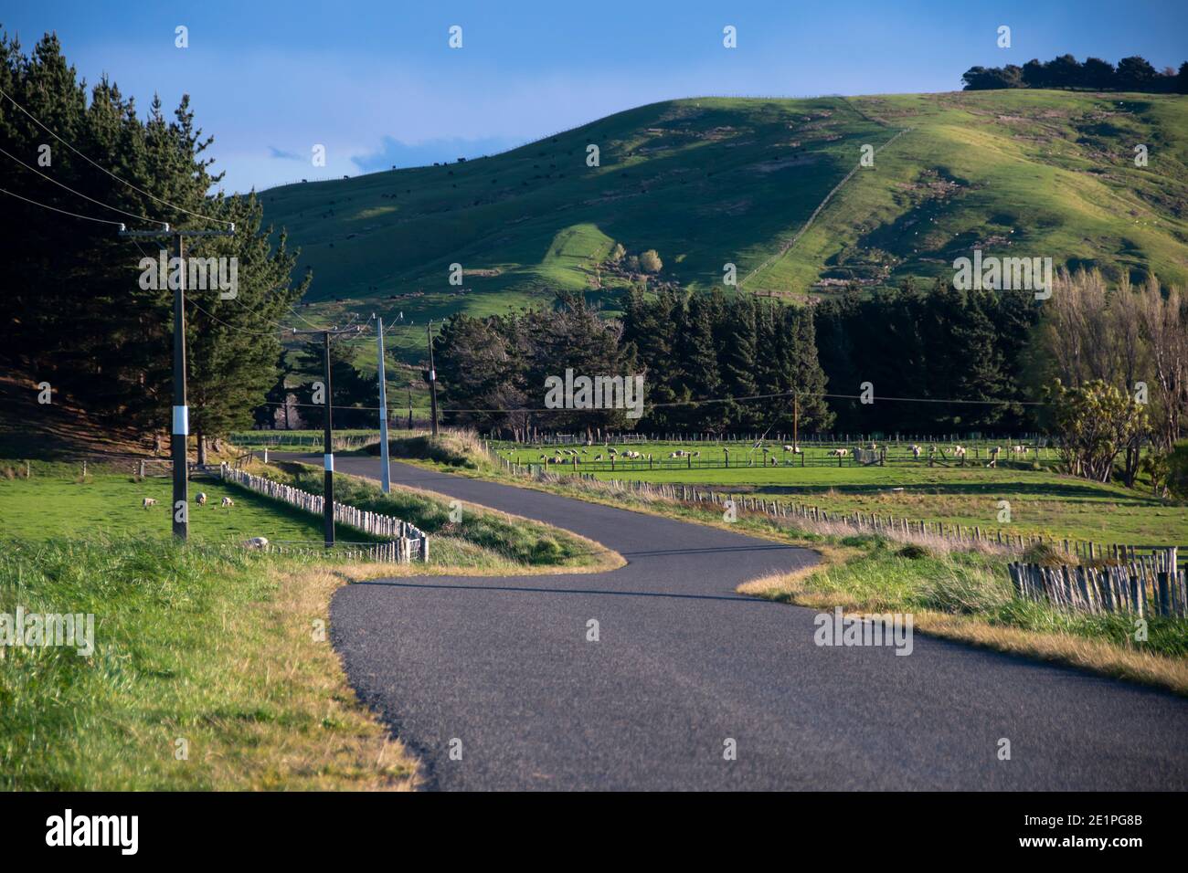 Country road through farmland near Herbertville, Tararua Distirct ...