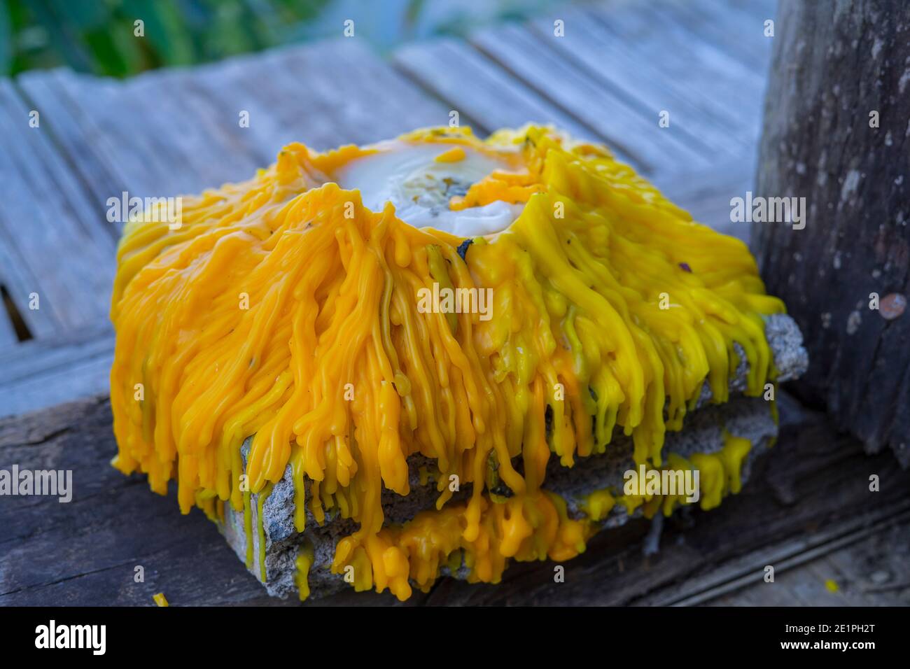 yellow melted candle drips in shape of solid drops. abstract wax ...