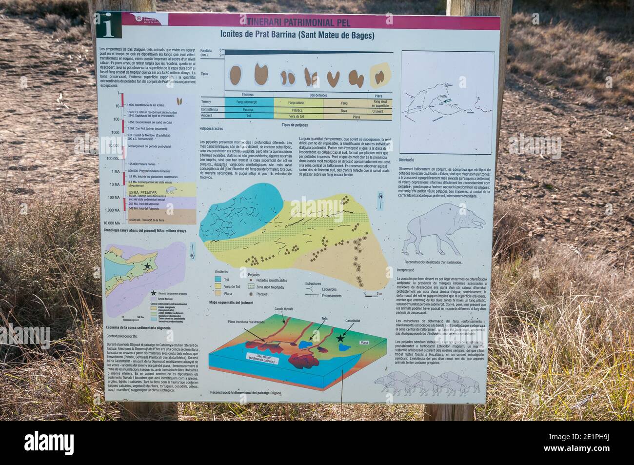 Extinct language hi-res stock photography and images - Alamy