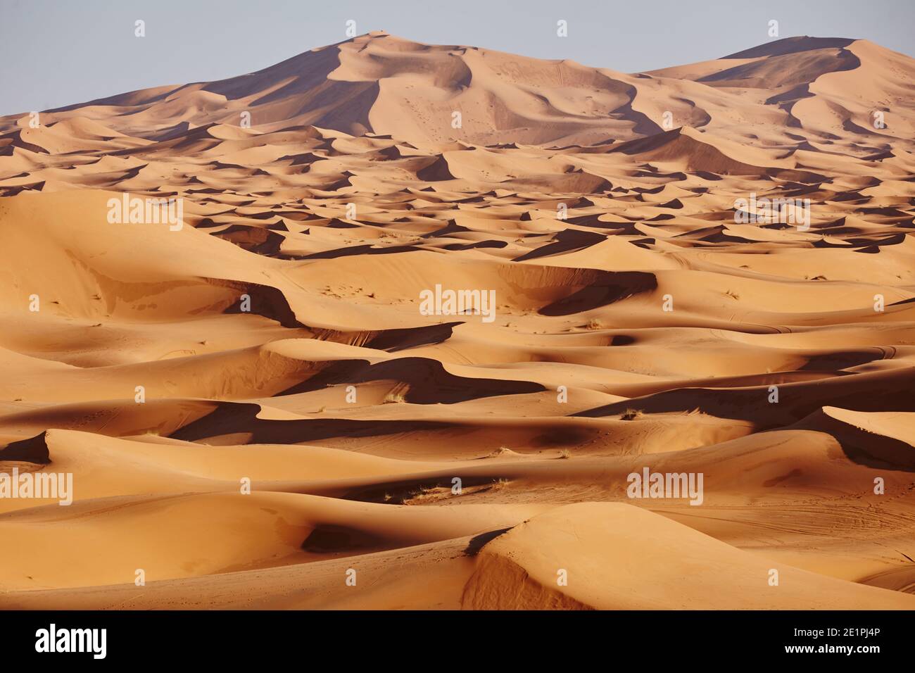 Endless Sands of the Sahara desert. Beautiful sunset over sand dunes of ...