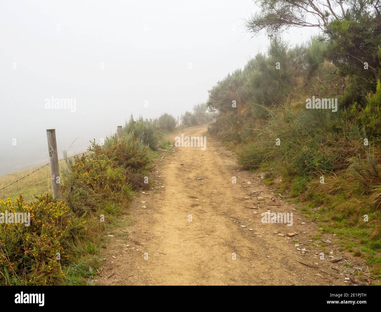 Camino track disappearing in the morning fog - Laguna de Castila ...