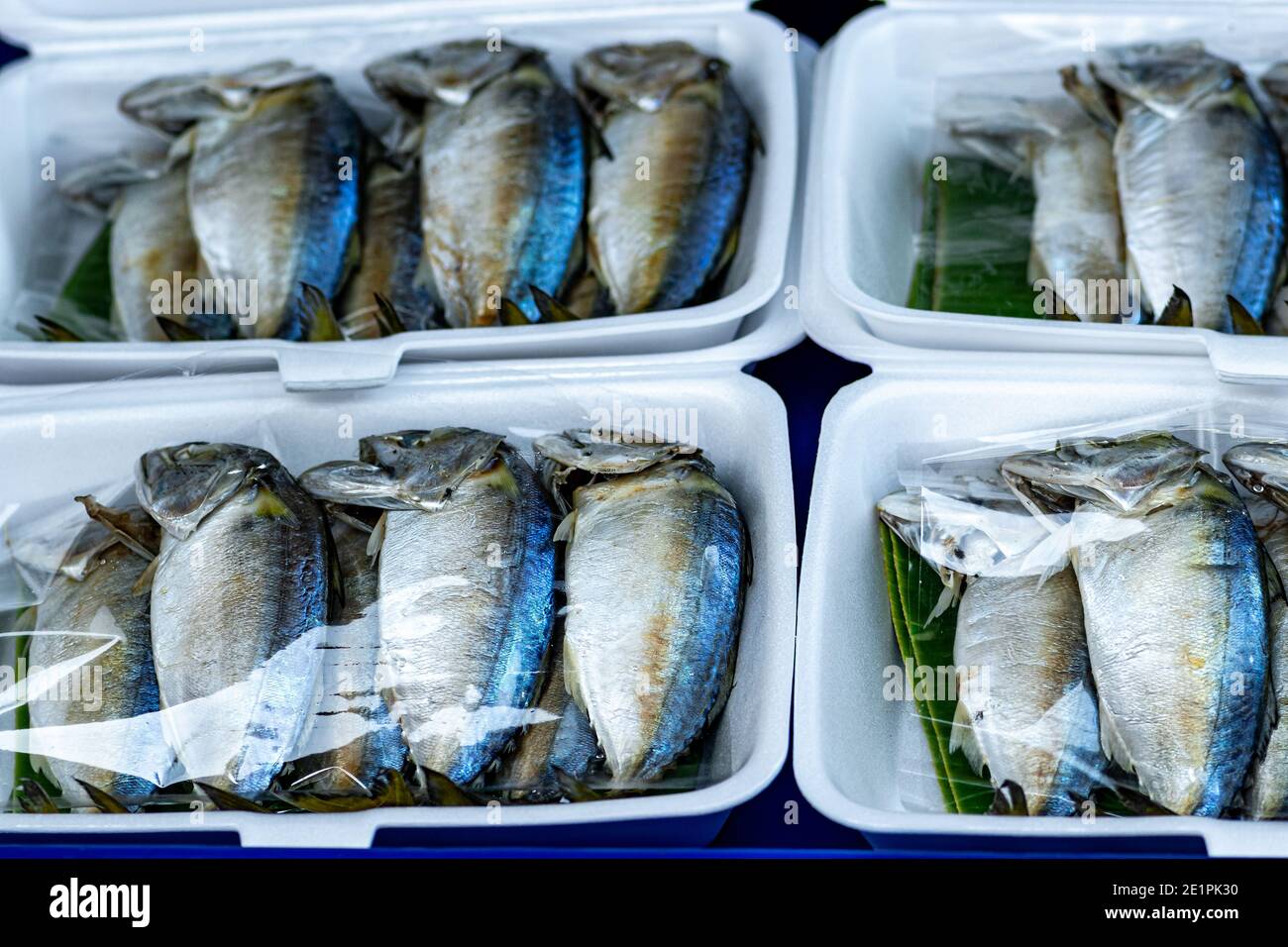 Food concept. Long tail tuna wrapped in plastic trays and placed on ...