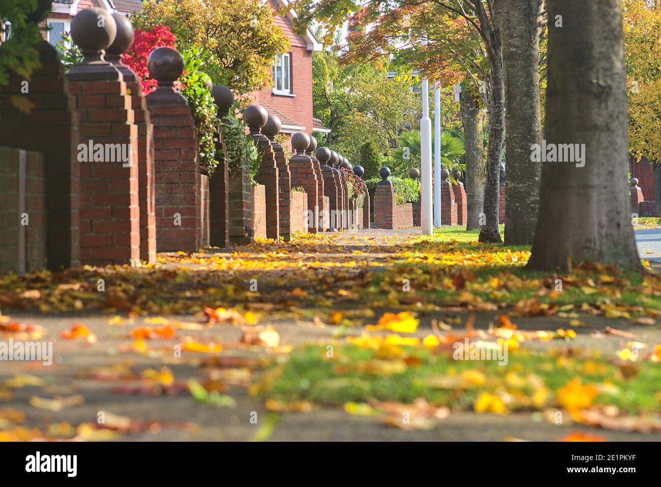 Ballinteer hi-res stock photography and images - Alamy