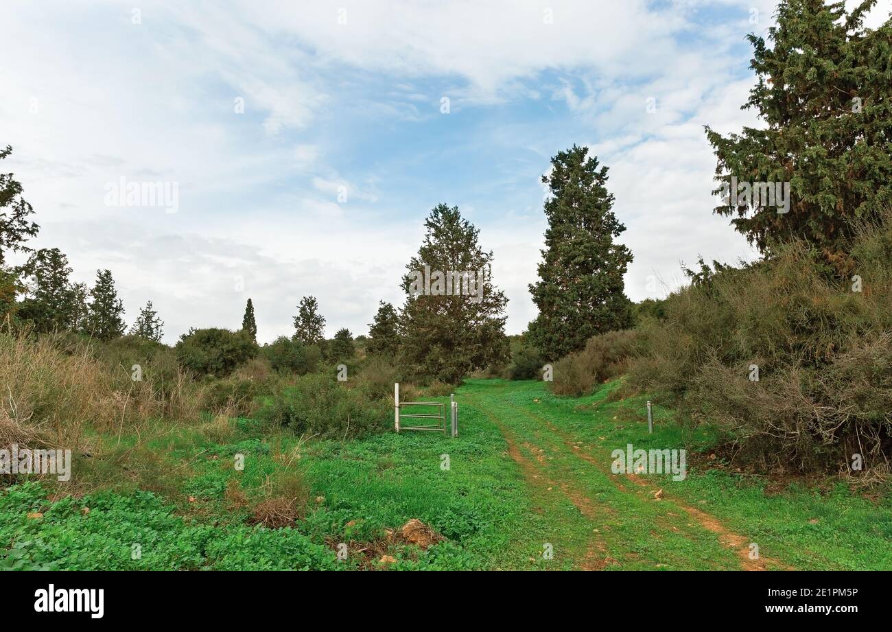 Green bushes in landscape hi-res stock photography and images - Alamy