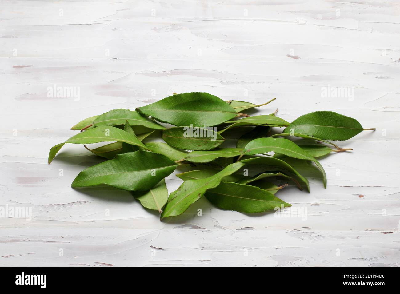 Lemon myrtle herb hi-res stock photography and images - Alamy
