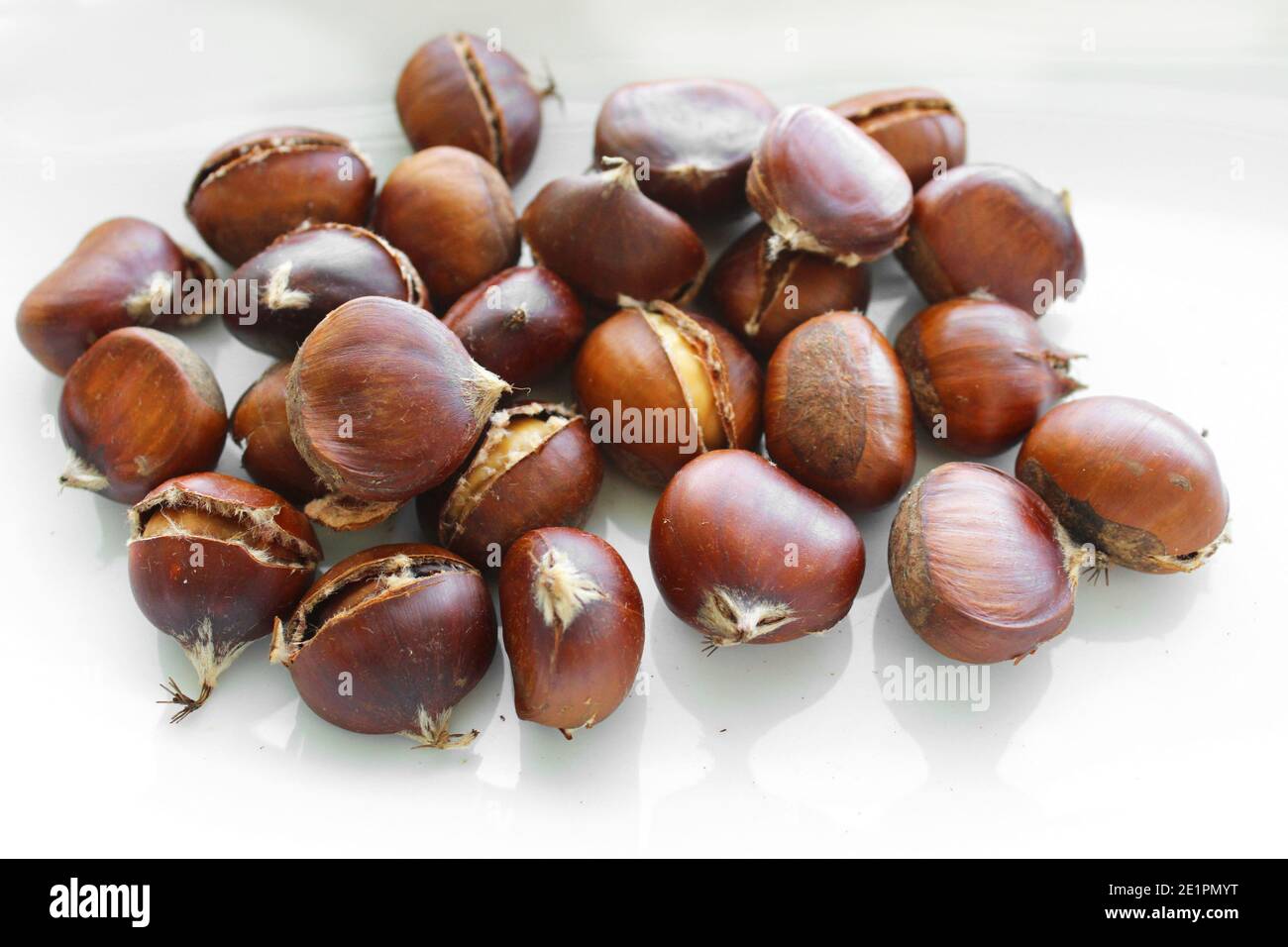 Sweet chesnut tree hi-res stock photography and images - Alamy