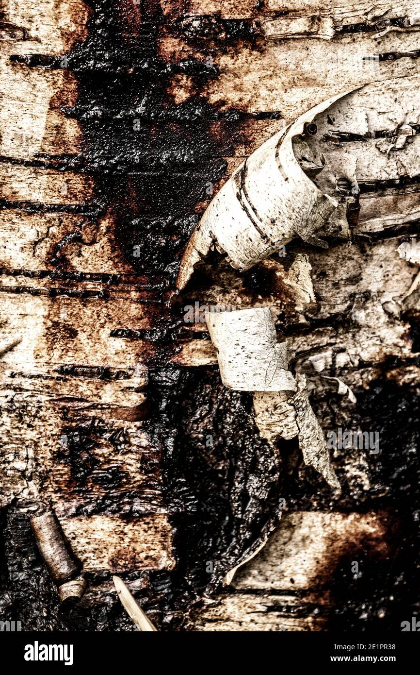 Abstract natural patterns and textures in nature, natures chaos ...