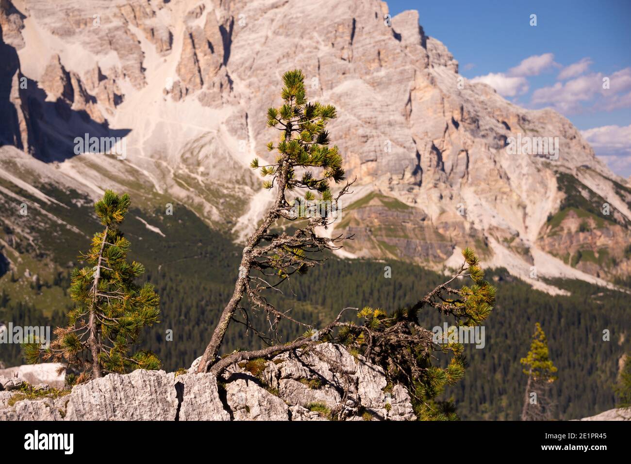 Panoramic view to Dolomite alps in Italy Stock Photo - Alamy