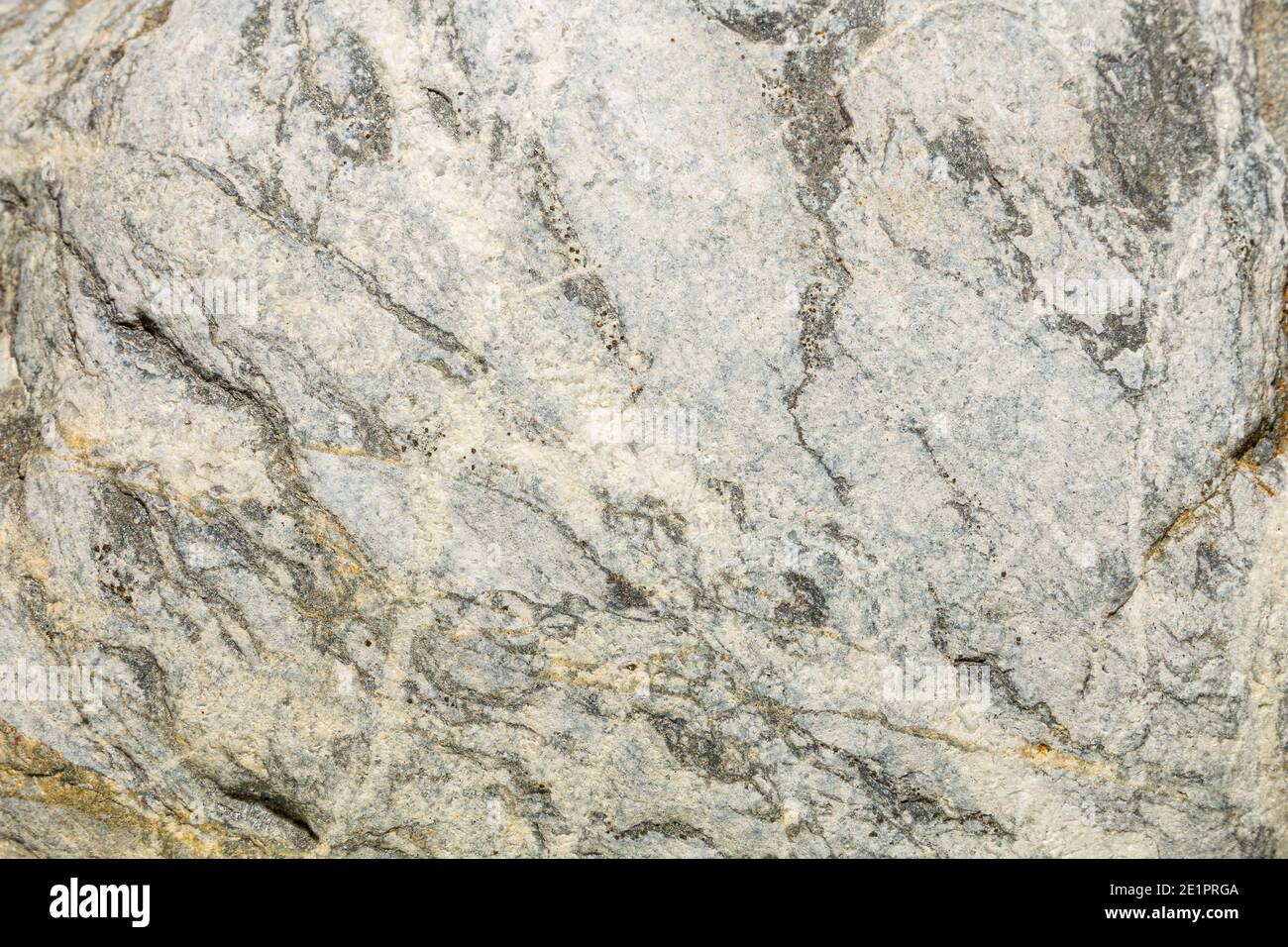 detail of a colorful sea stone, ideal for backgrounds and textures ...