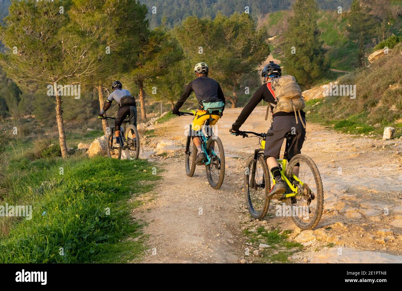 Three men riding bicycles on a forest path near jerusalem, israel Stock ...