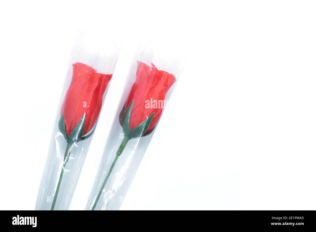 The red roses are covered with plastic with a white background. Can be ...