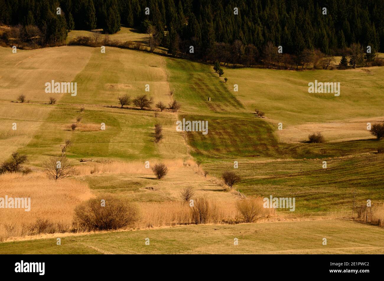 Different activity hi-res stock photography and images - Alamy