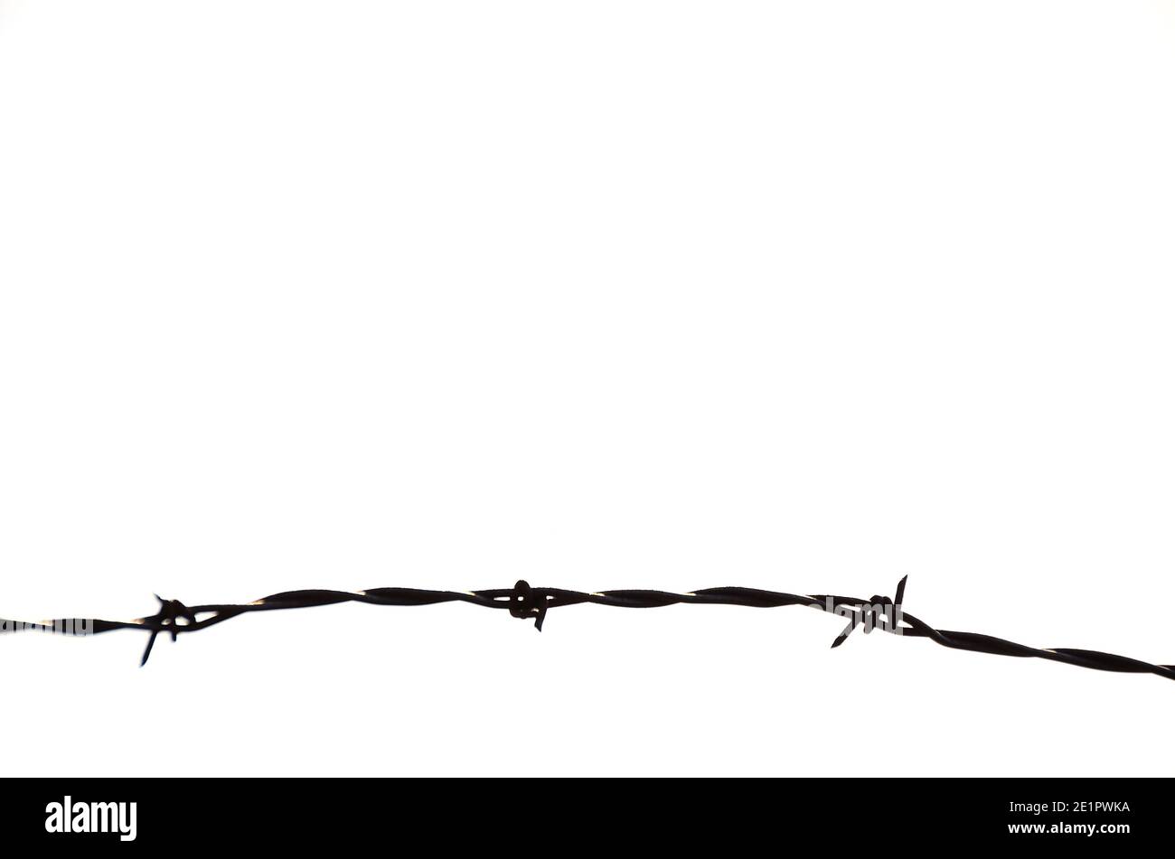 barbed wire on white background Stock Photo - Alamy