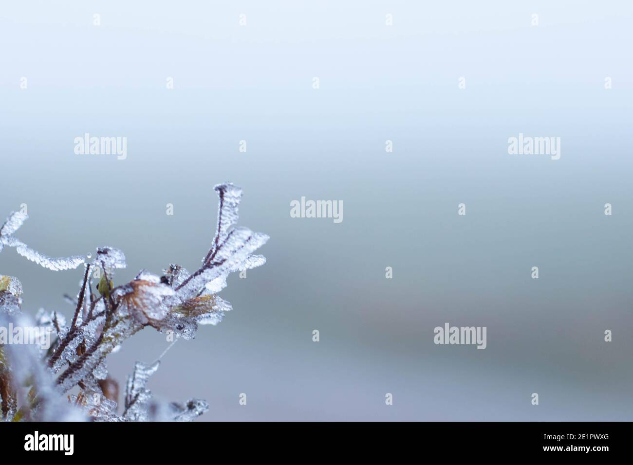 snowing winter in northern italy 2020 Stock Photo - Alamy